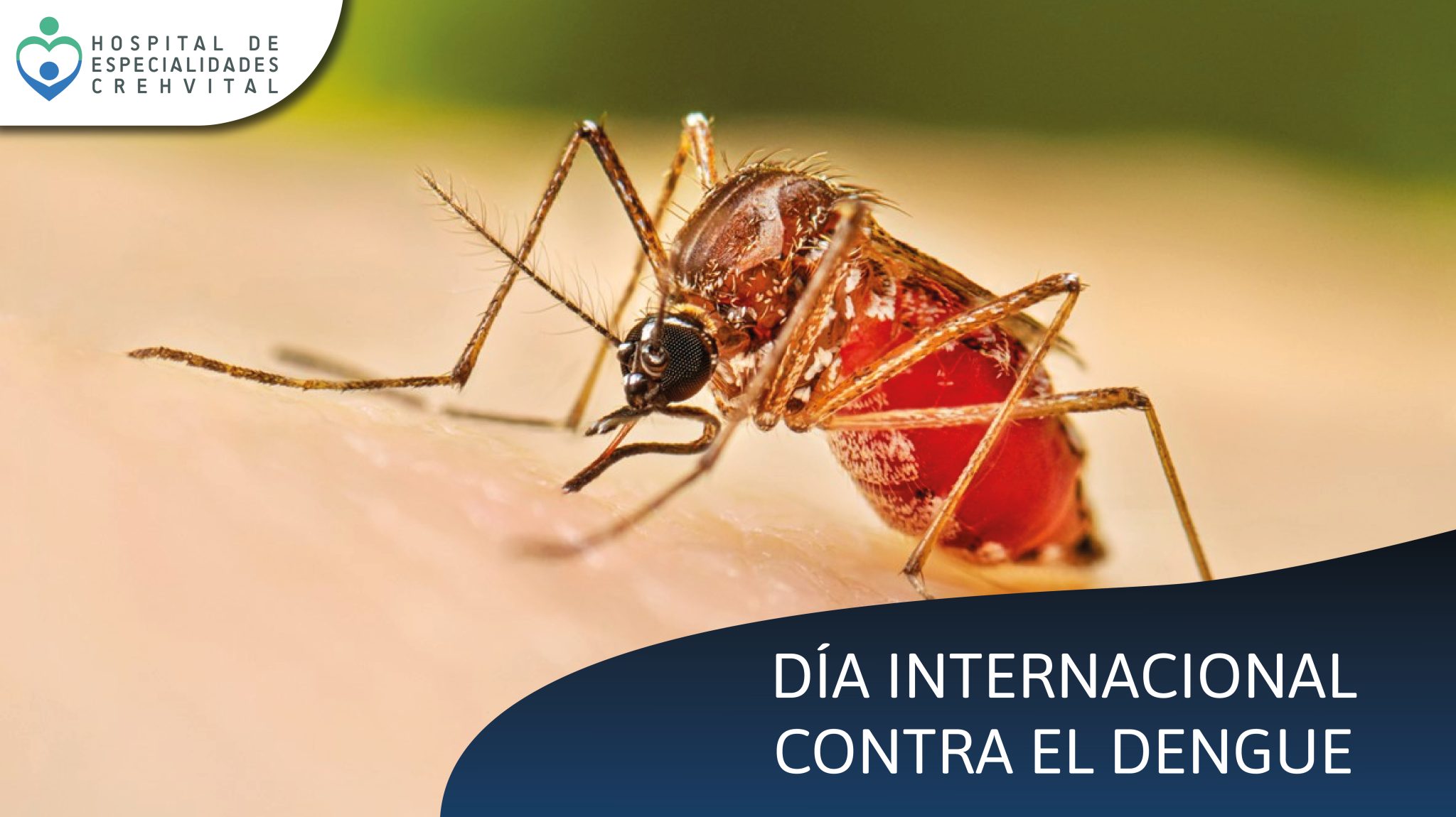Día Internacional contra el Dengue(26 de Agosto) – Hospital de Especialidades Médicas Crehvital